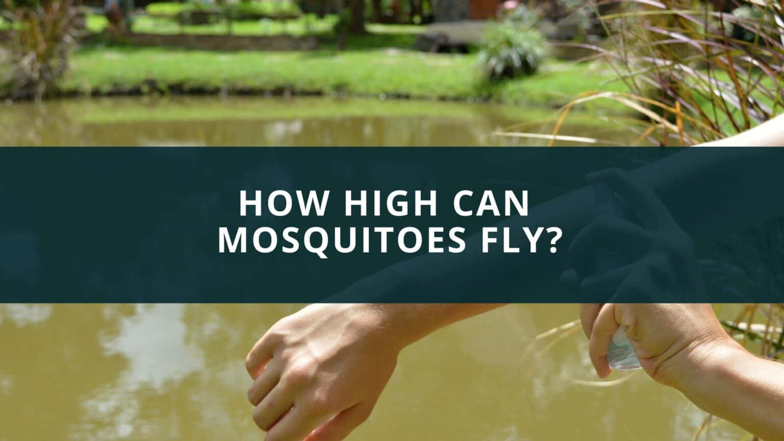 House – Think Real State